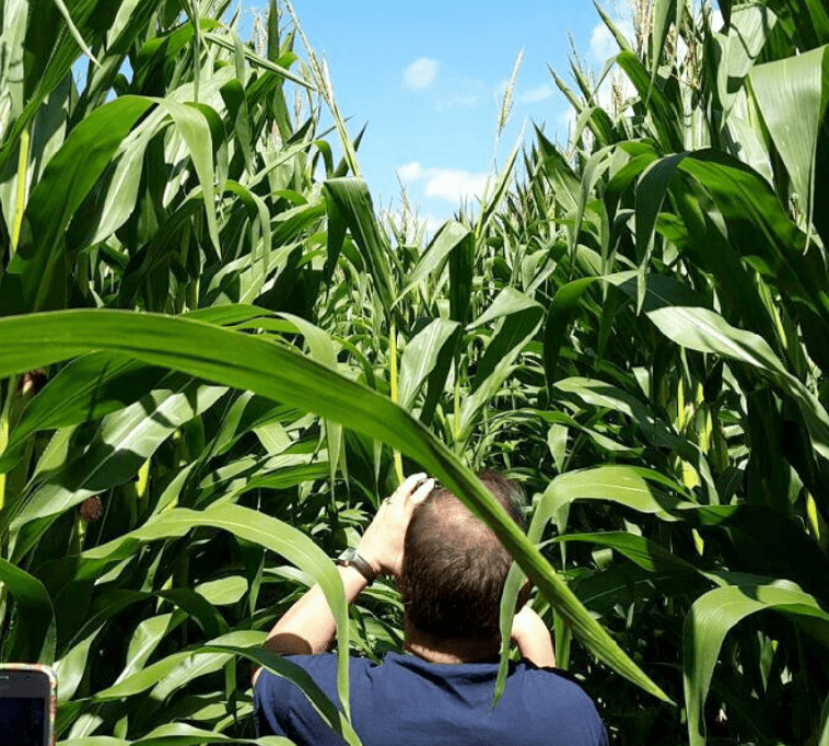 An Off-World Incident in the Berkshires - Main Street Magazine