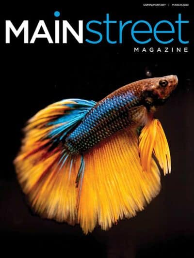 Past Issues - Main Street Magazine