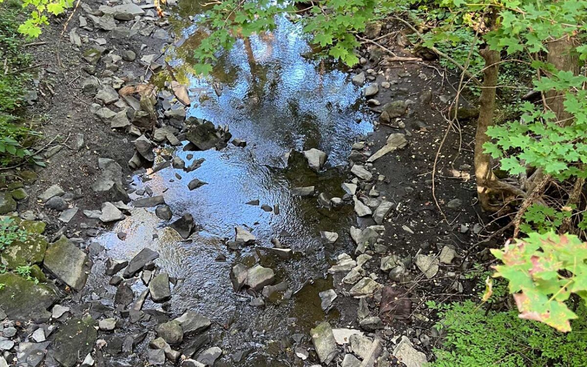 Water, Water, Everywhere? - Main Street Magazine