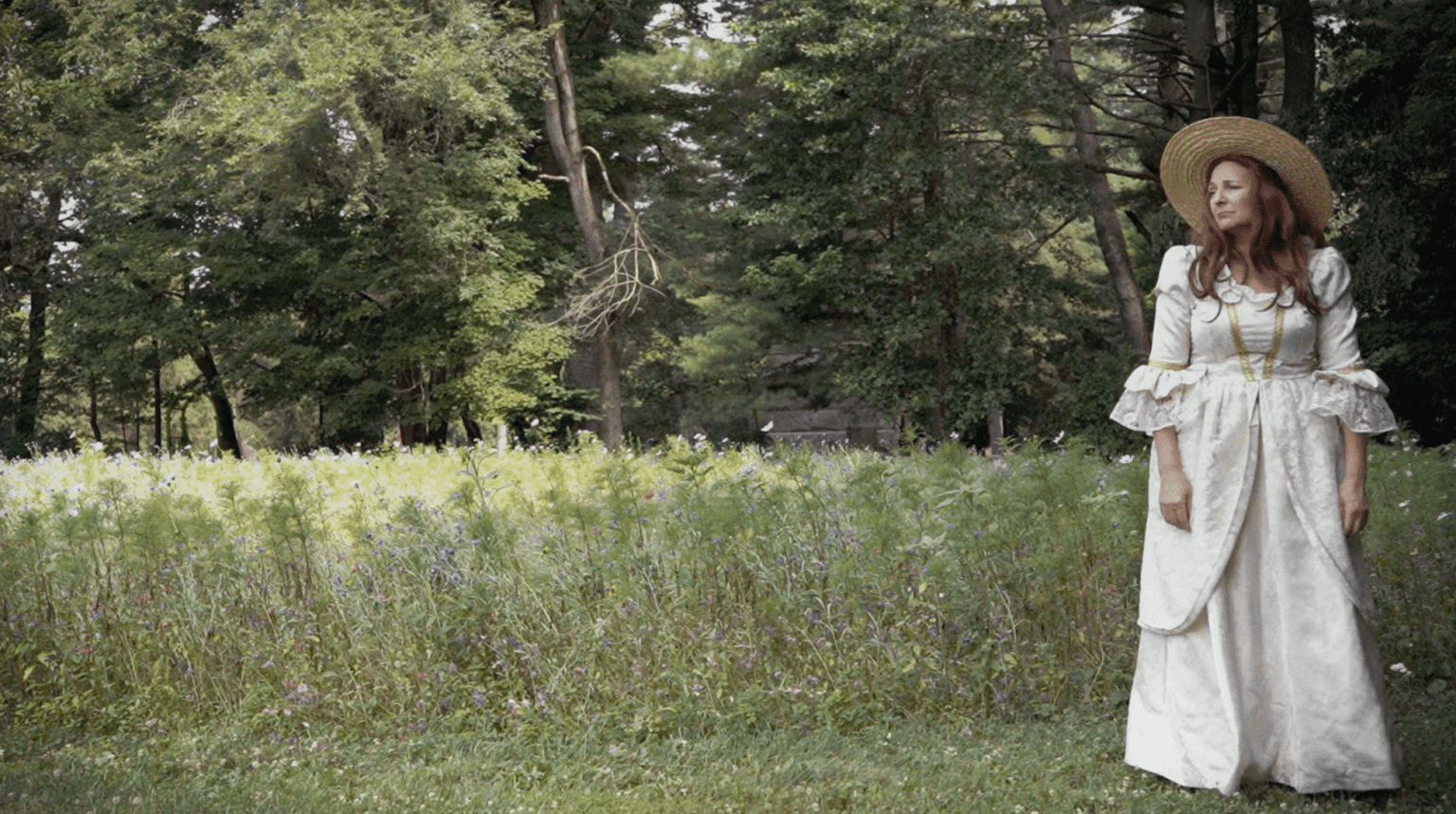 The Relentless Patience of Priscilla Cranberry - Main Street Magazine