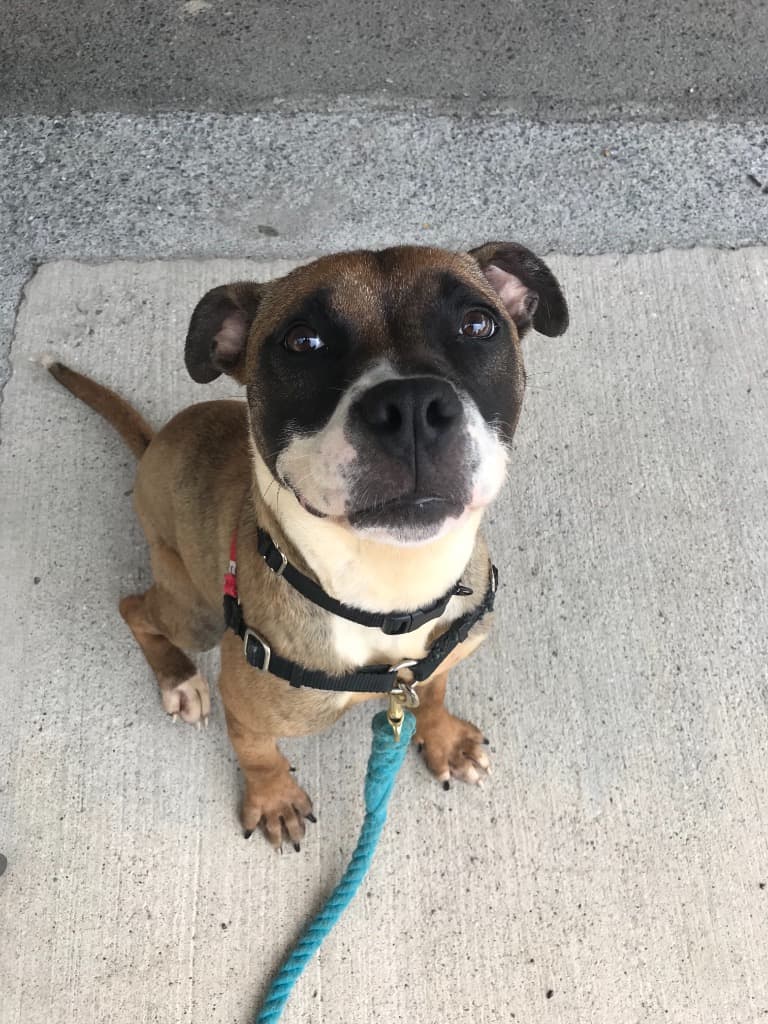 Kandy - Main Street Magazine