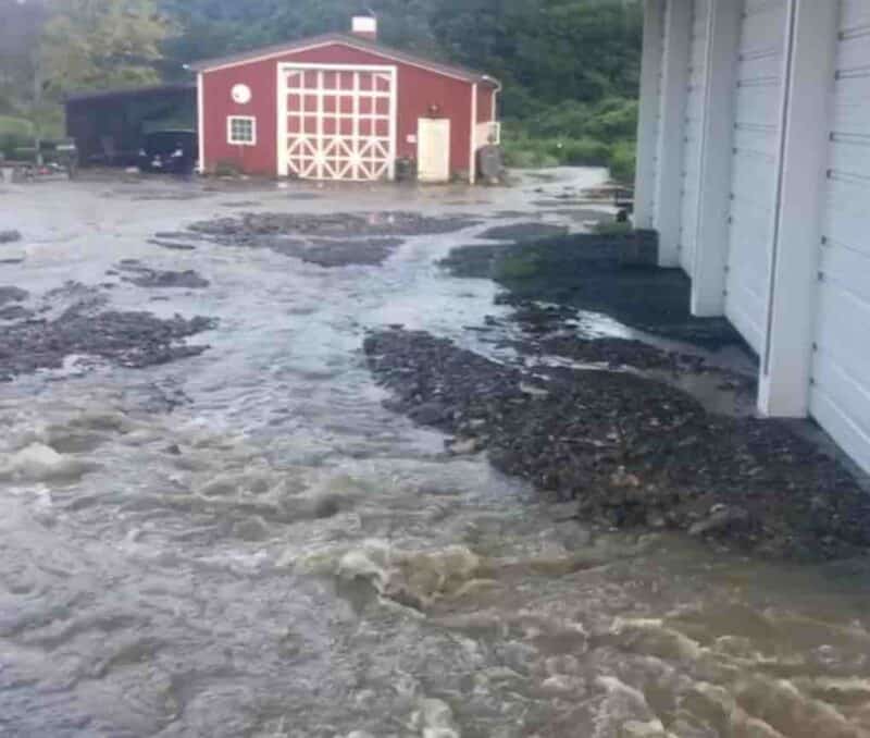 Farms & Flooding: How Full Circus Farm Has Been Navigating the Changing ...