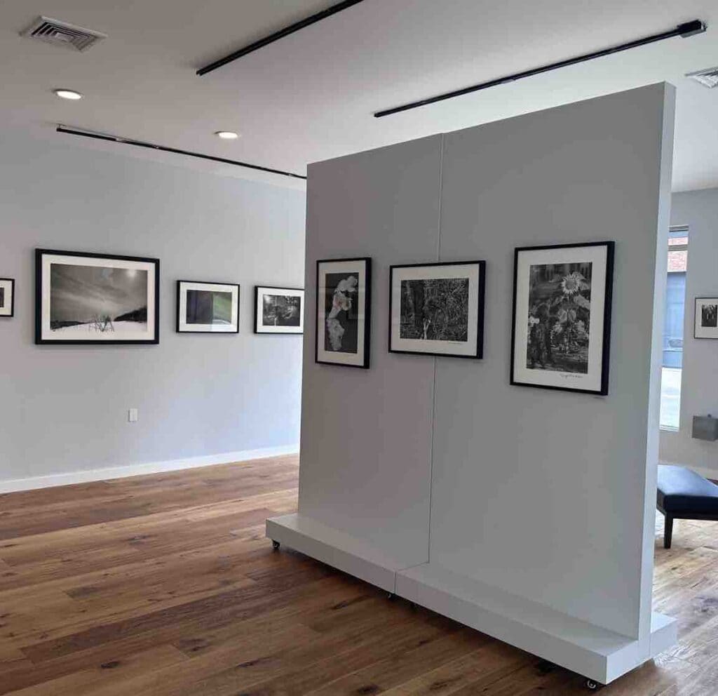 Mad Rose Gallery Brings Interactive Gallery Space to Millerton - Main ...