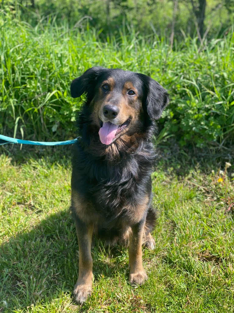 Chase - Main Street Magazine