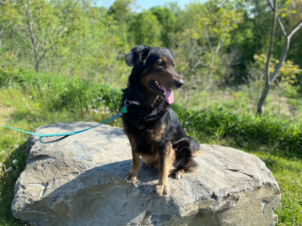 Chase - Main Street Magazine