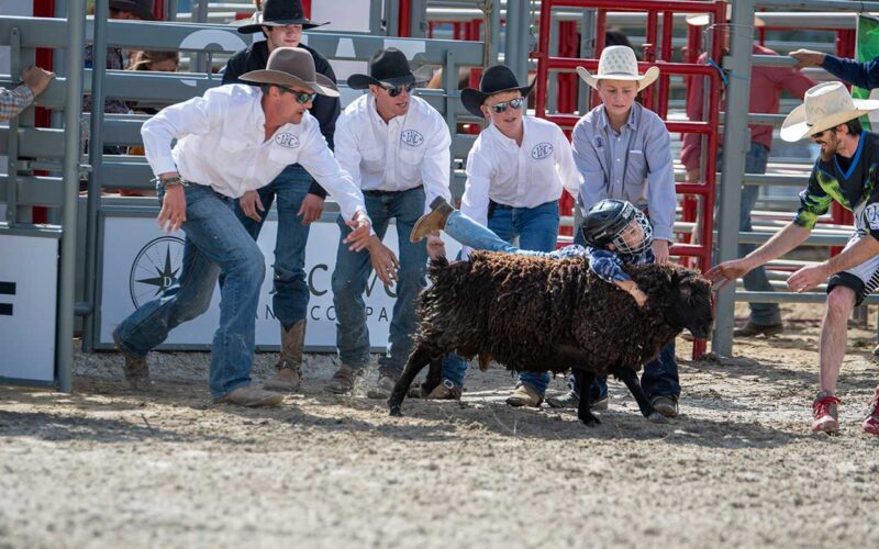 3rd Annual Hudson Valley Rodeo Brings Cowboys and Cowgirls to Amenia ...