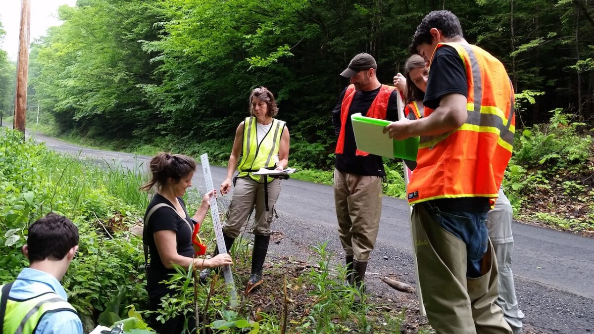 Berkshire Environmental Action Team Connects Community and Nature in ...