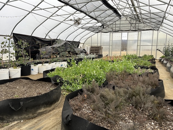 Maitri Farm Champions Sustainable Farming and Community Connections ...