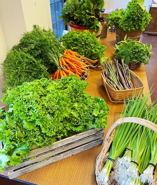 Stonewood Farm Addresses Food Insecurity in the Hudson Valley - Main ...