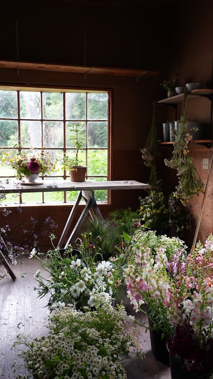 Le Jardin Flower Farm Emphasizes Effortless Floral Design - Main Street ...