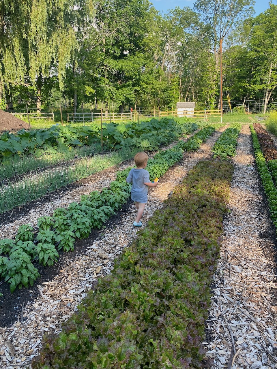 Brews & Blooms at Slow Fox Farm Brewery - Main Street Magazine