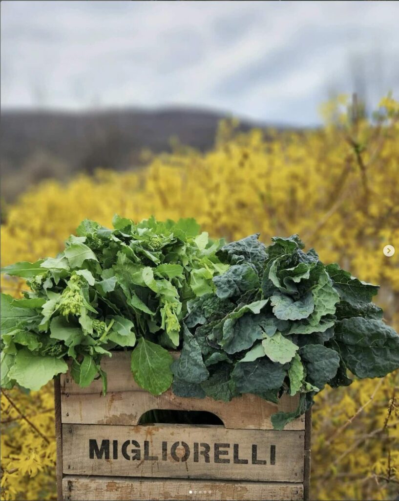 Family Farm: Migliorelli Farm Has Been Feeding the Hudson Valley's ...