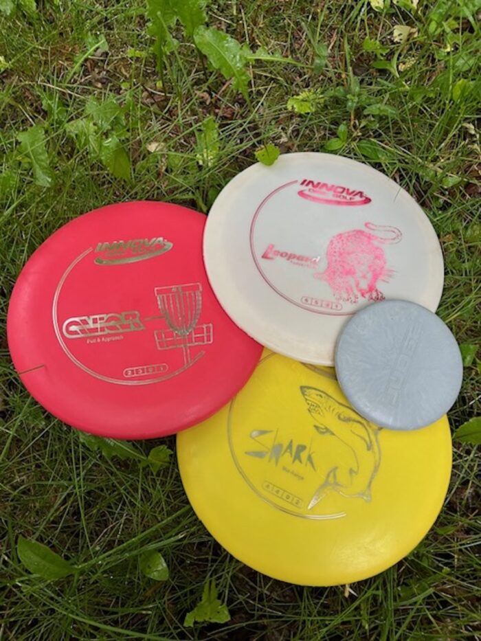 Tees and Trees: Disc Golf for Newbies - Main Street Magazine