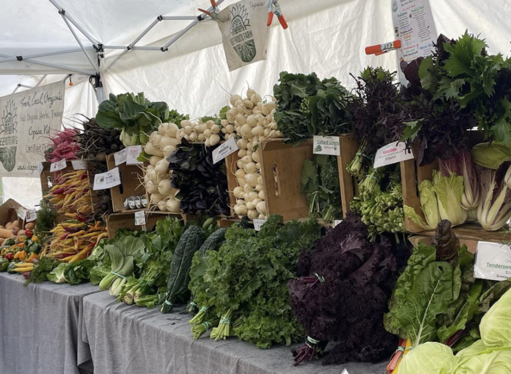 All about organic at Deep Roots Farm in Copake - Main Street Magazine