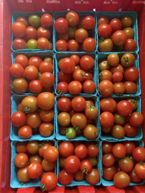 All about organic at Deep Roots Farm in Copake - Main Street Magazine