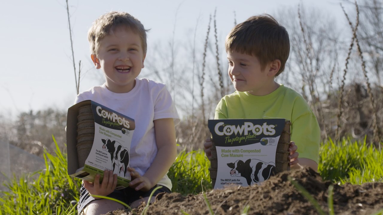 Many irons in the fire: How Pig Iron Films’ Ted Perotti provides ...