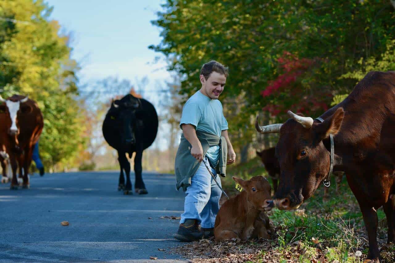 The magic of Camphill Village: Getting to know the vibrant, dynamic ...